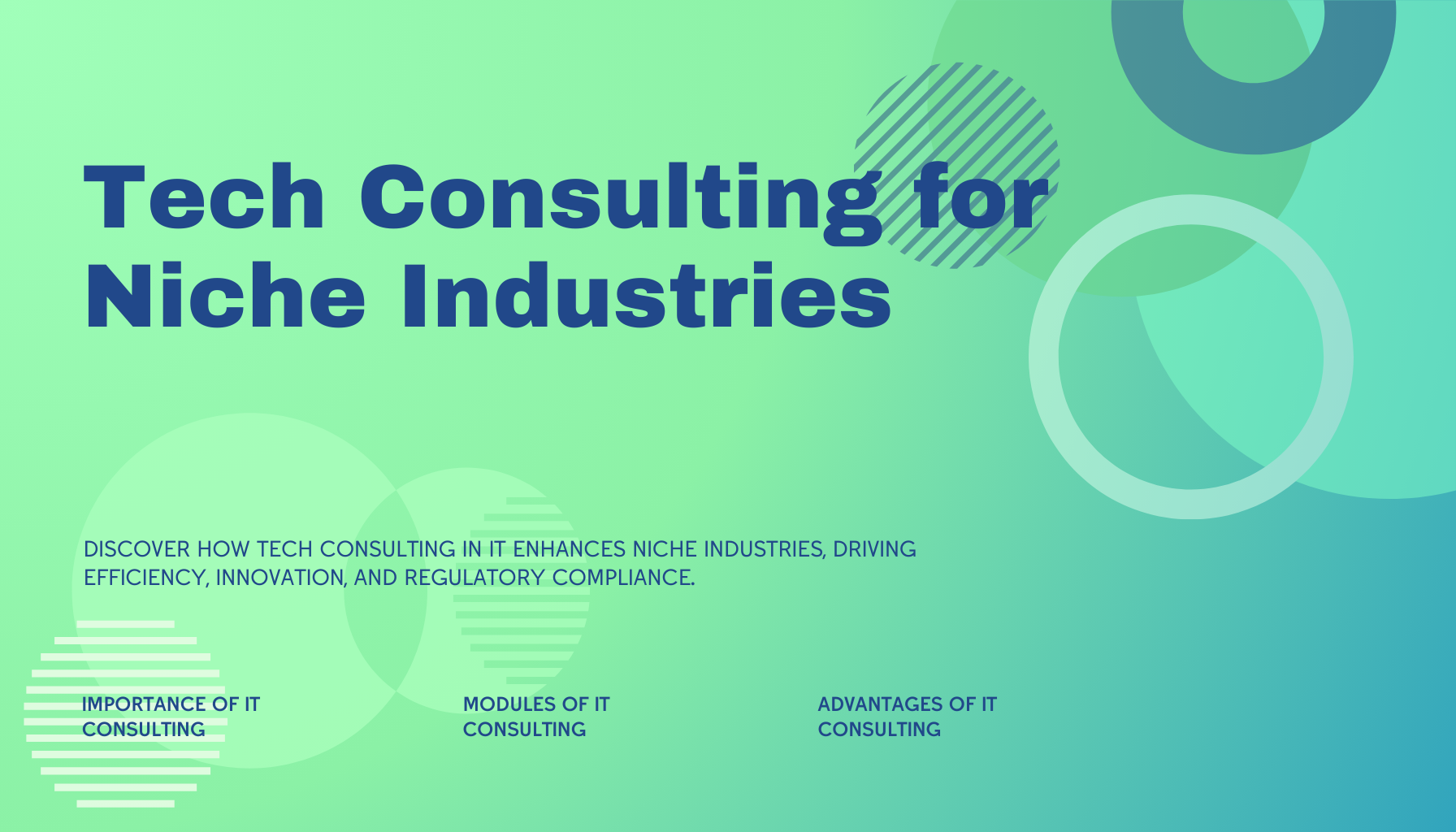 Tech Consulting in IT for Niche Industries - Jigya